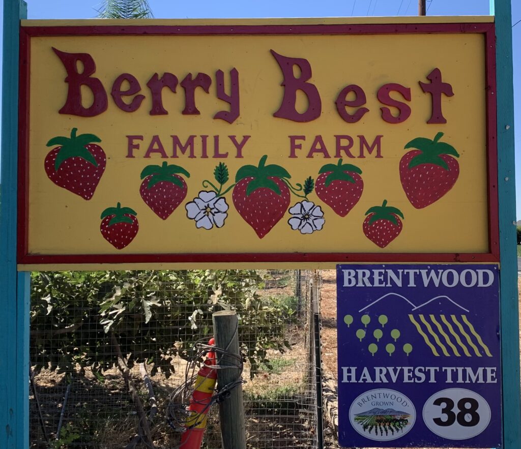 🌱 Vermicompost Comes to Berry Best Family Farm! - Delta Worms